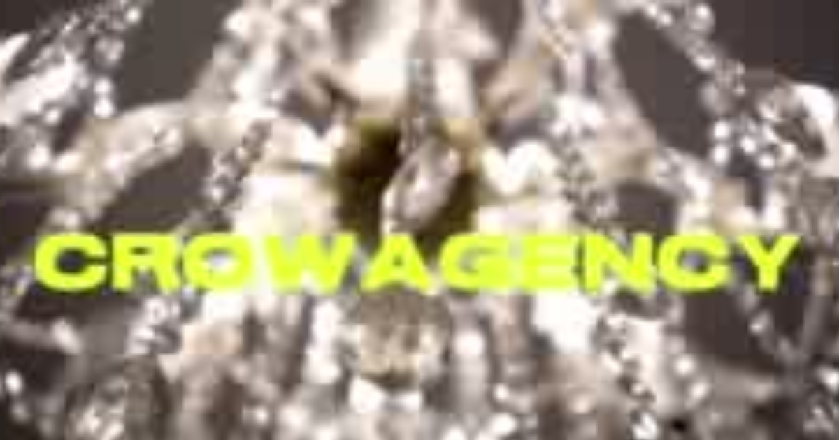 PAID ADS 🤑 GROW WITH CROW!